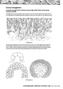 Chapter 16. Bamboo - Permatil Global