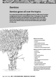 Chapter 16. Bamboo - Permatil Global