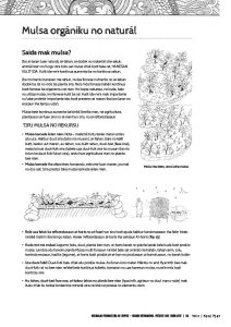 Kapítulu 9. Rai - Permatil Global